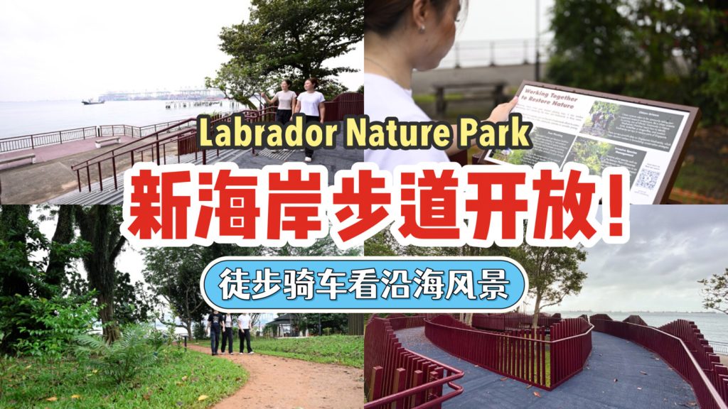 Labrador Nature Park海岸步道正式对外开放！全长340米，欣赏沿海风景，徒步骑车更惬意🥰 - 🇸🇬新加坡省钱皇后-皇后情报局